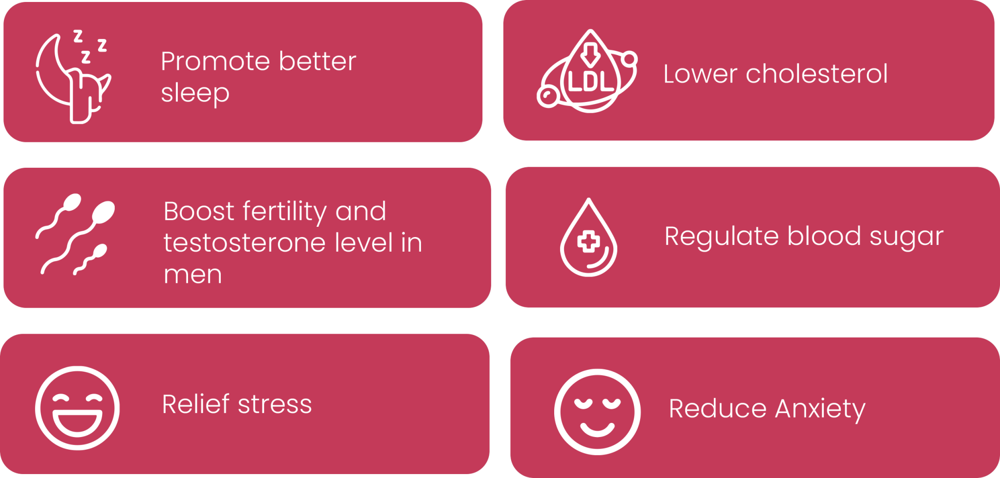 Dynace Rocenta | Latest Product from Dynace Global | Order Now