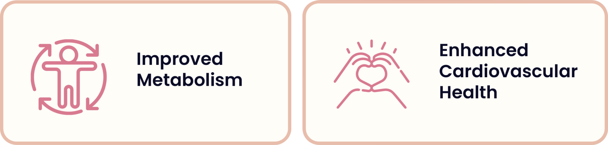 Dynace Rocenta | Latest Product from Dynace Global | Order Now