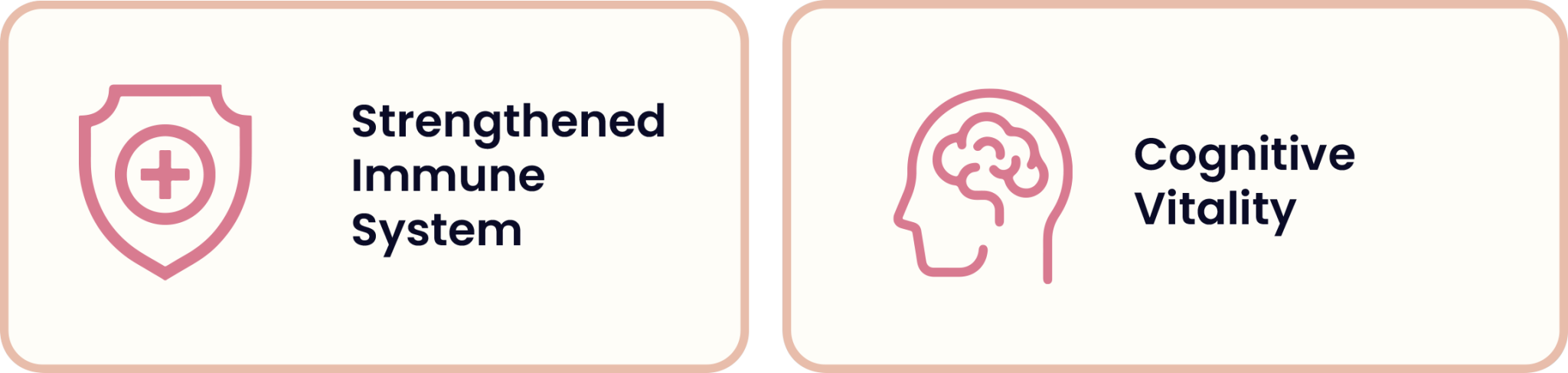 Dynace Rocenta | Latest Product from Dynace Global | Order Now