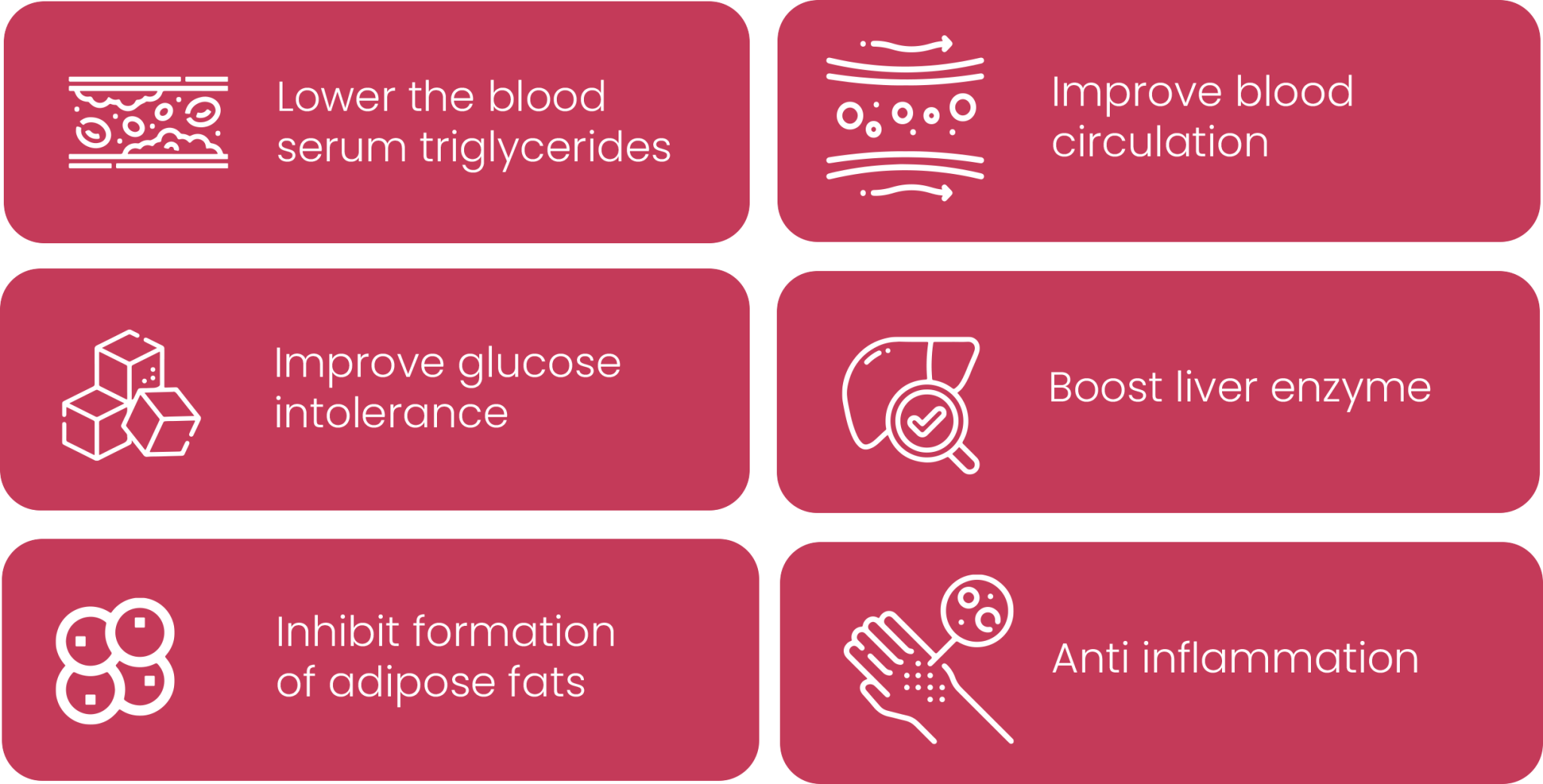 Dynace Rocenta | Latest Product from Dynace Global | Order Now