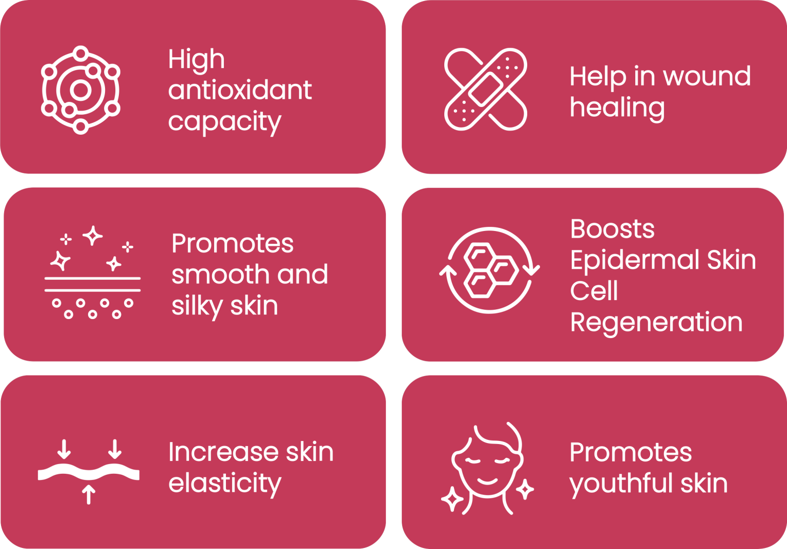 Dynace Rocenta | Latest Product from Dynace Global | Order Now