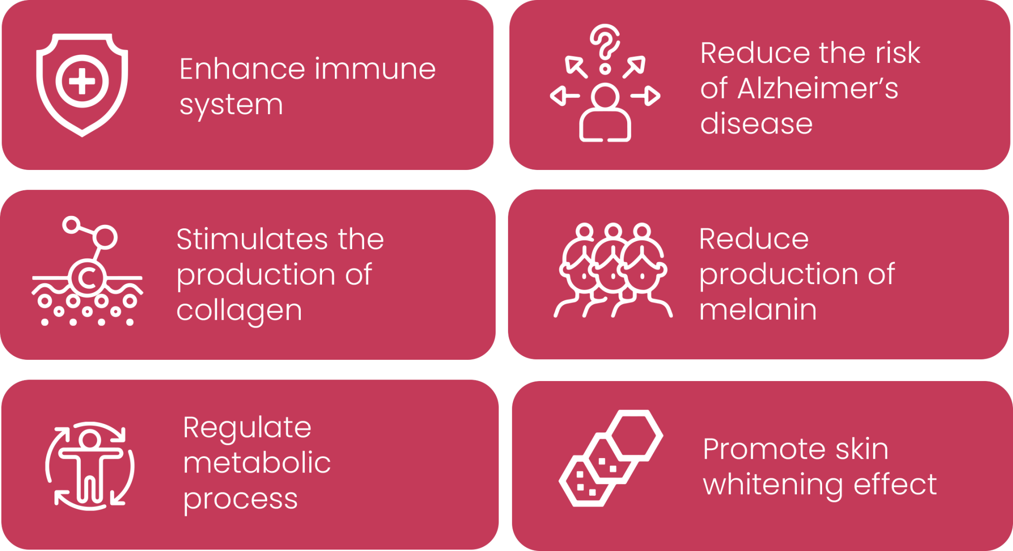 Dynace Rocenta | Latest Product from Dynace Global | Order Now