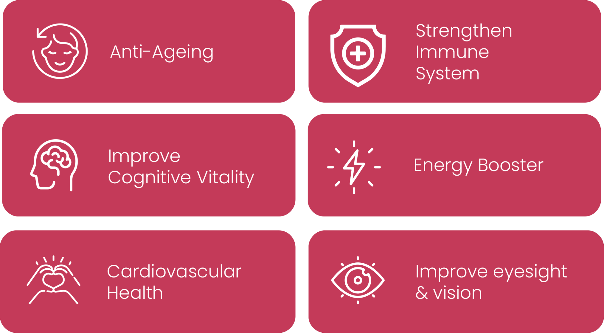 Dynace Rocenta | Latest Product from Dynace Global | Order Now