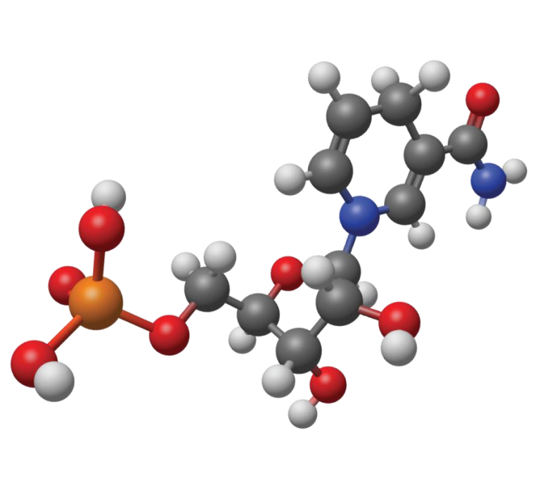 Dynace Rocenta | Latest Product from Dynace Global | Order Now