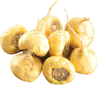 Triple Root Coffee | Testing DynamicAceLanka